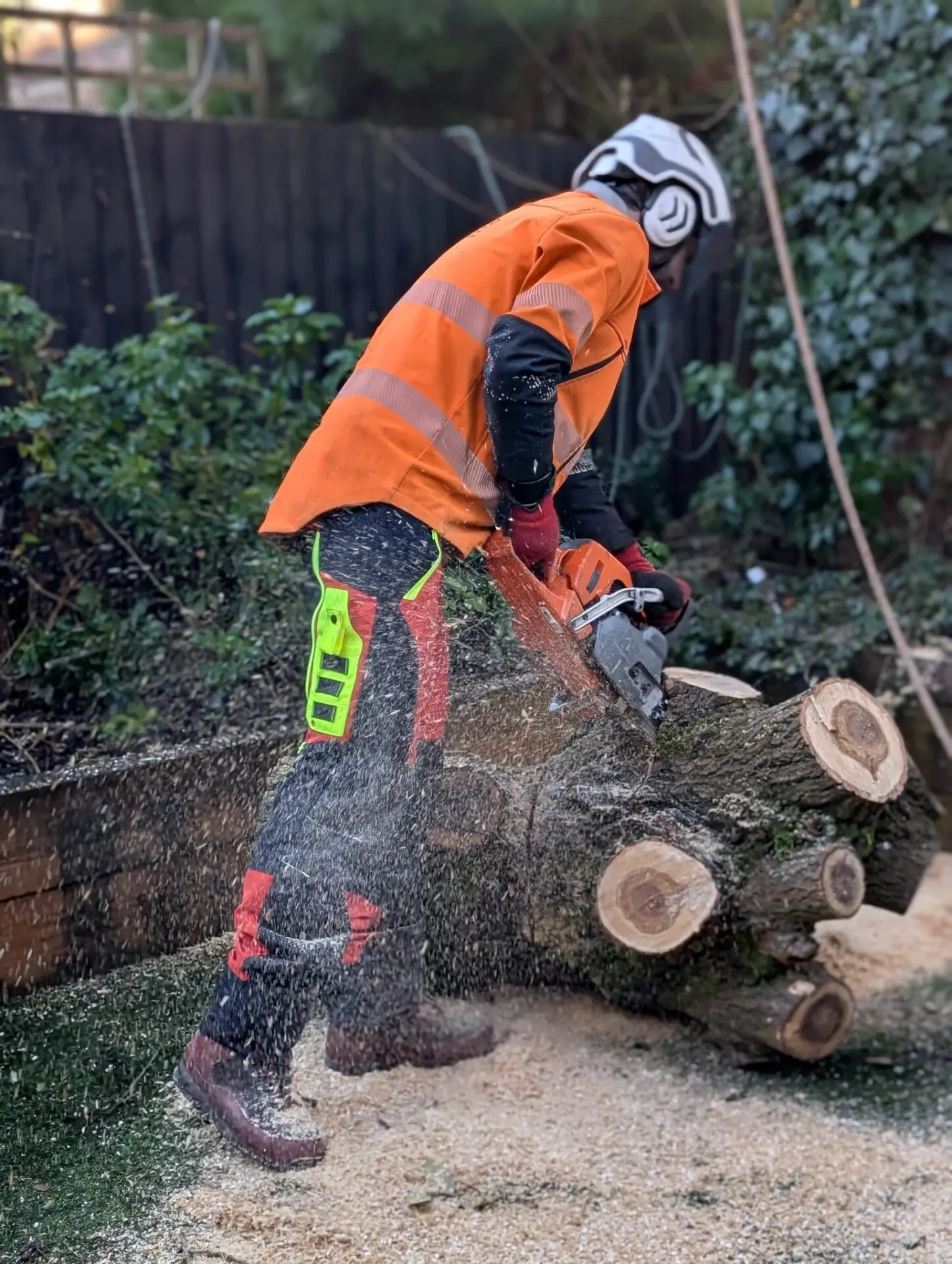 How to Choose a Tree Surgeon in Manchester | Woodfelder
