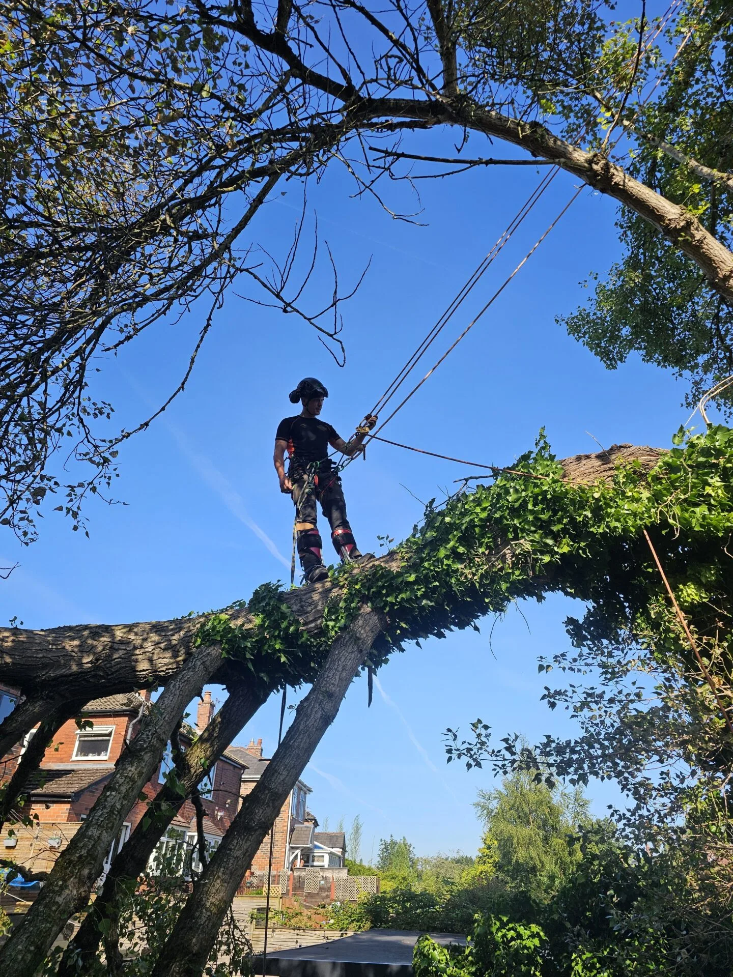 Tree Safety in Storms | Manchester & Stockport Tree Care